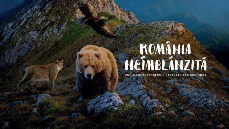 Filme documentare pentru copii și adolescenți care merită să fie ...